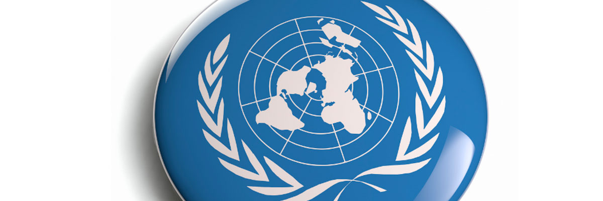 UN Resolution / World Health Assembly - Royal Life Saving Society ...